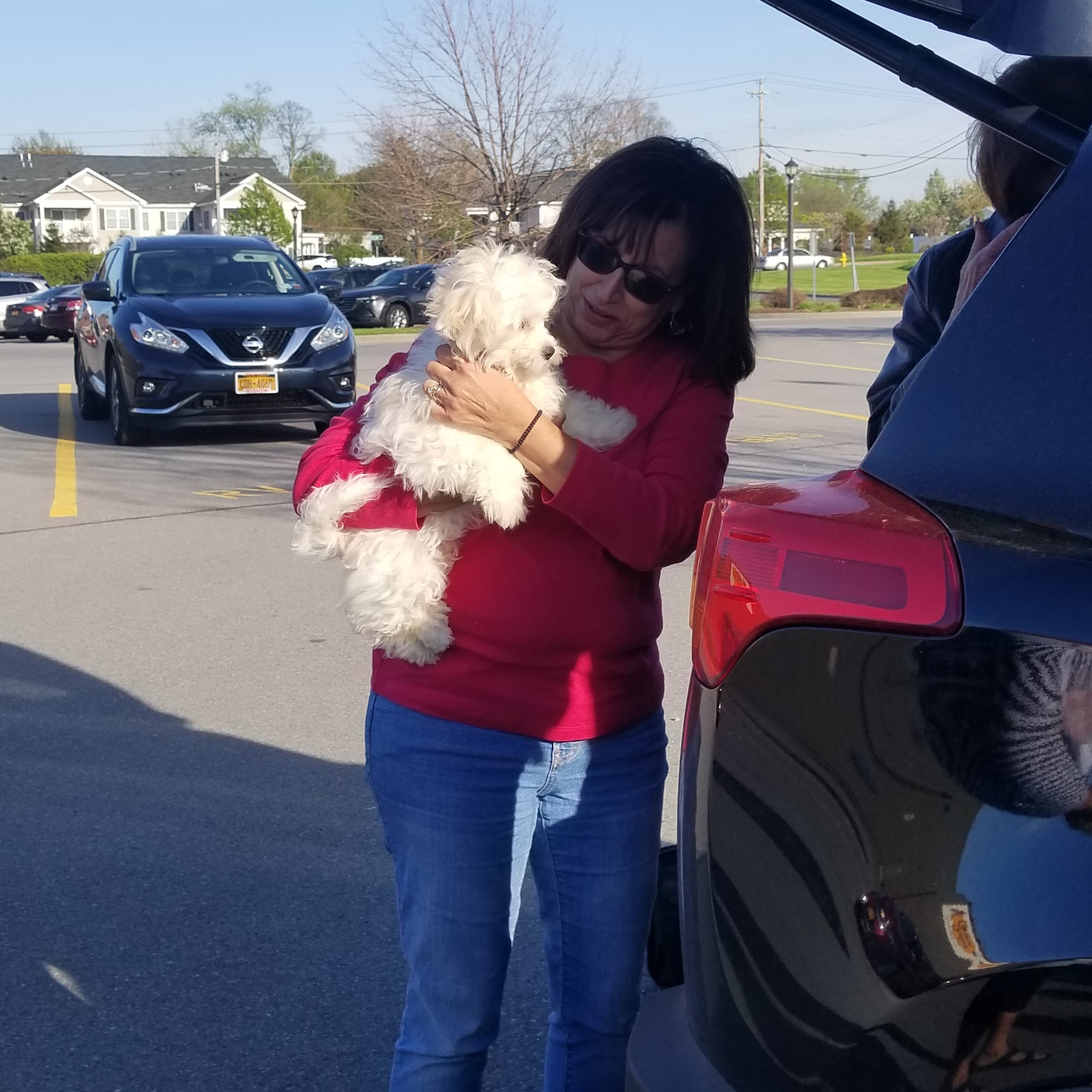 More puppy mill dogs rescued in less than 6 months of 2019 than all of ...