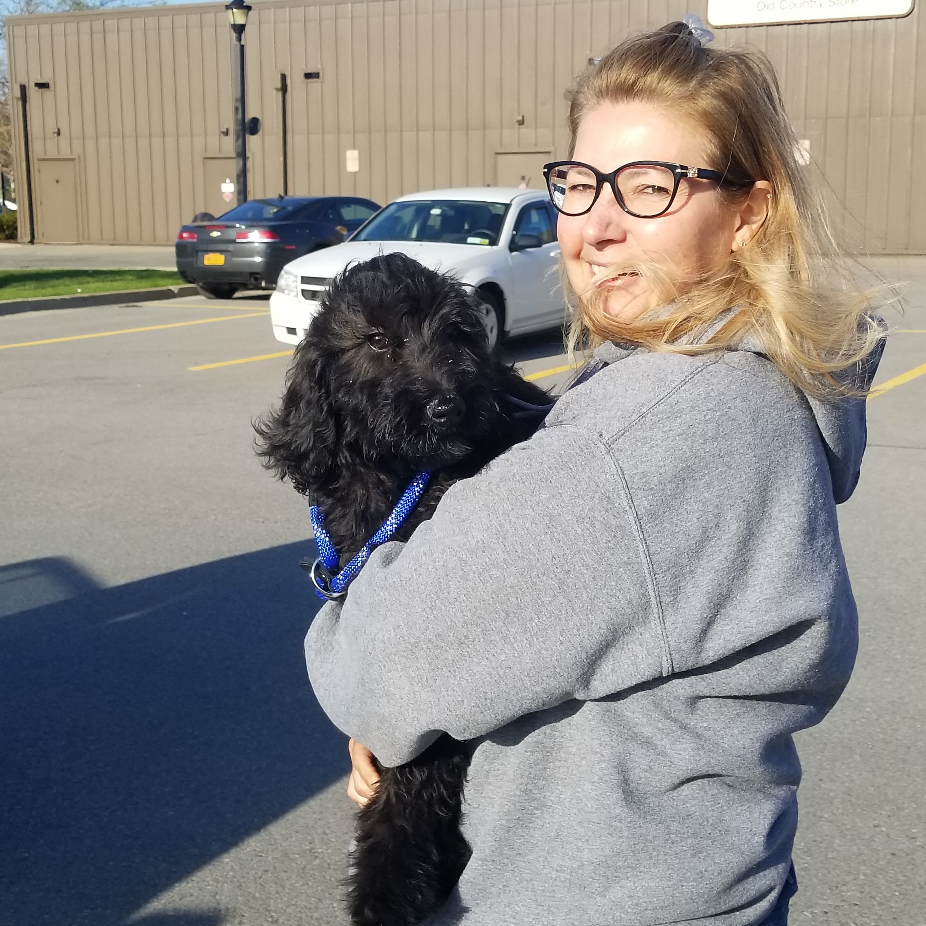 More puppy mill dogs rescued in less than 6 months of 2019 than all of ...